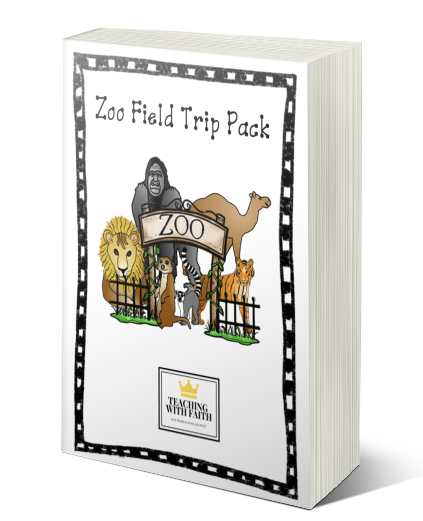 Outdoor Activities for Preschoolers and Toddlers